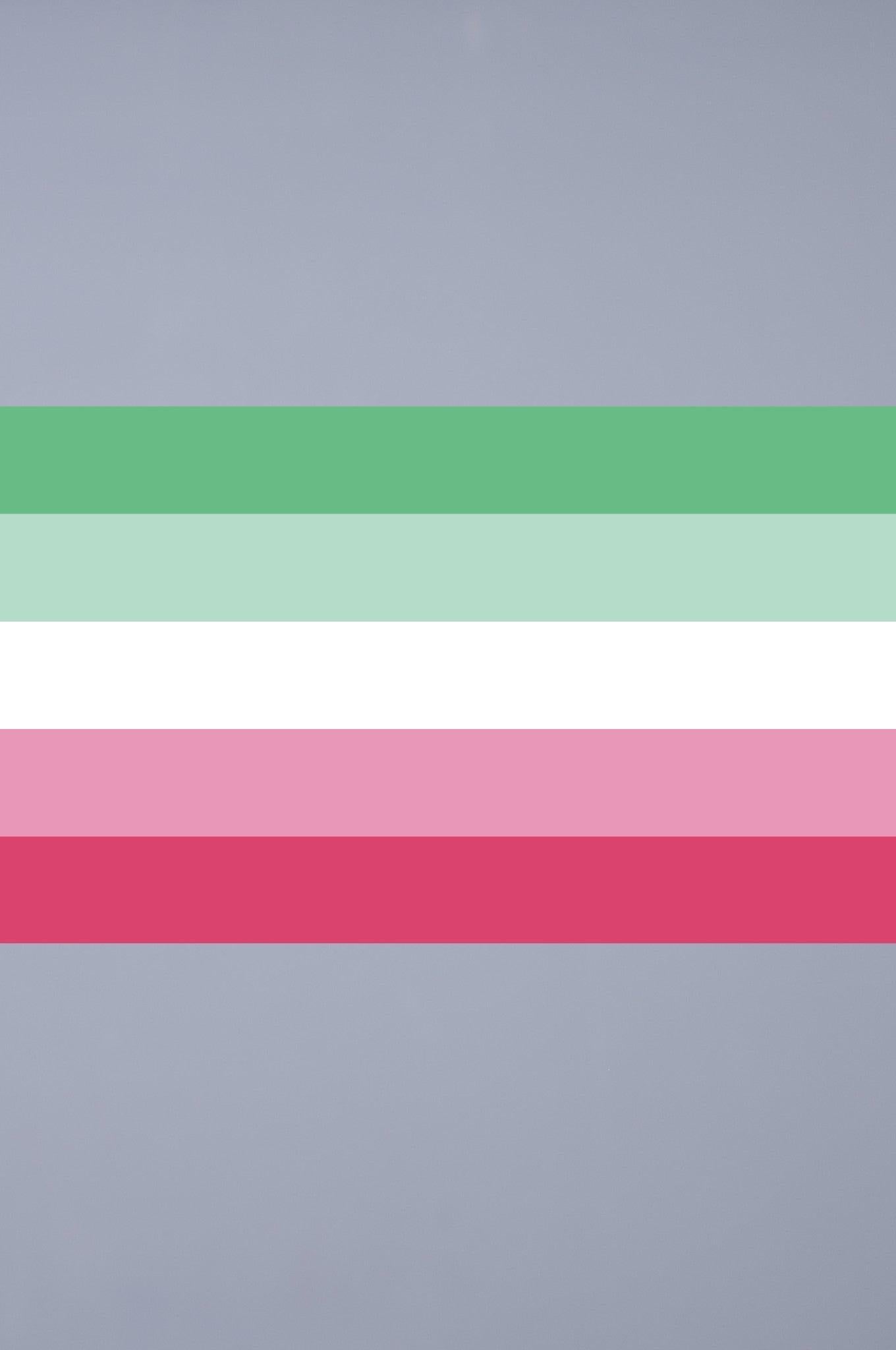 Pride Flag Abrosexual 90 X 150 Cm At Mr Riegillio