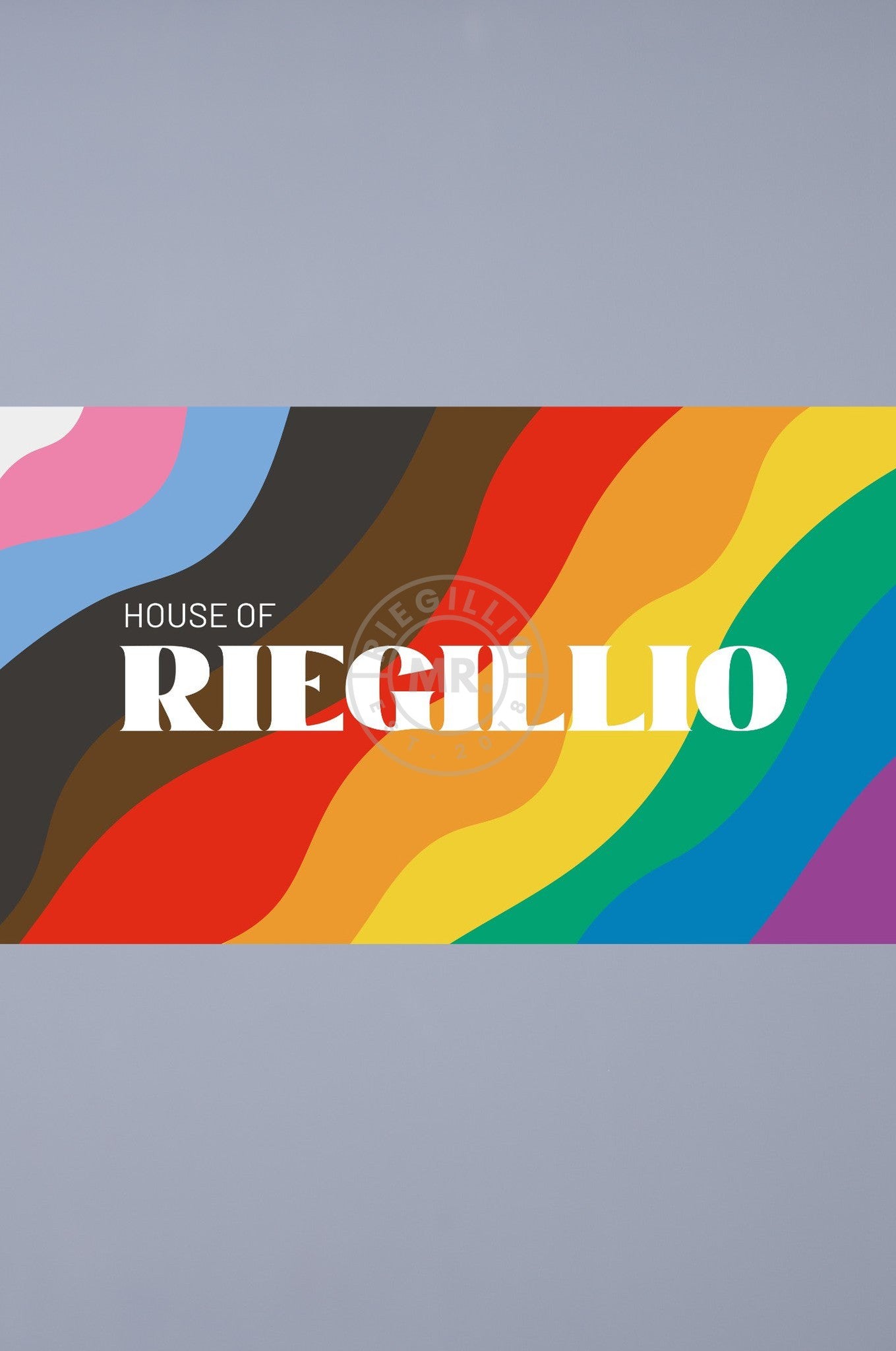 House of Riegillio Pride Flag - Rainbow - 90 x 150 cm at MR. Riegillio