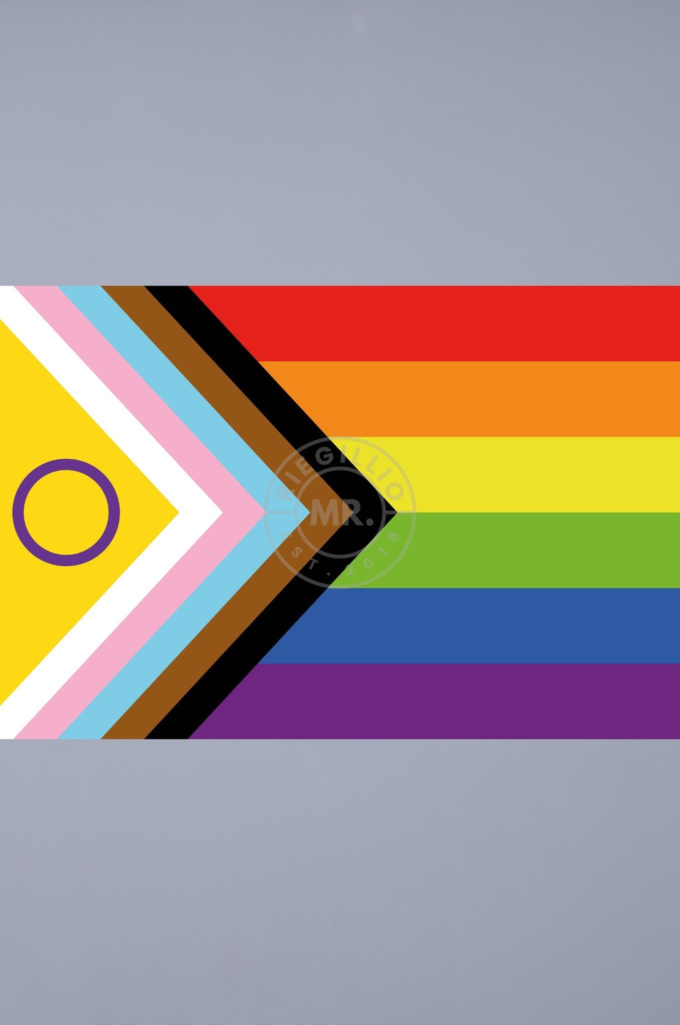 Pride Flag - Intersex-Inclusive - 120 x 180 cm at MR. Riegillio