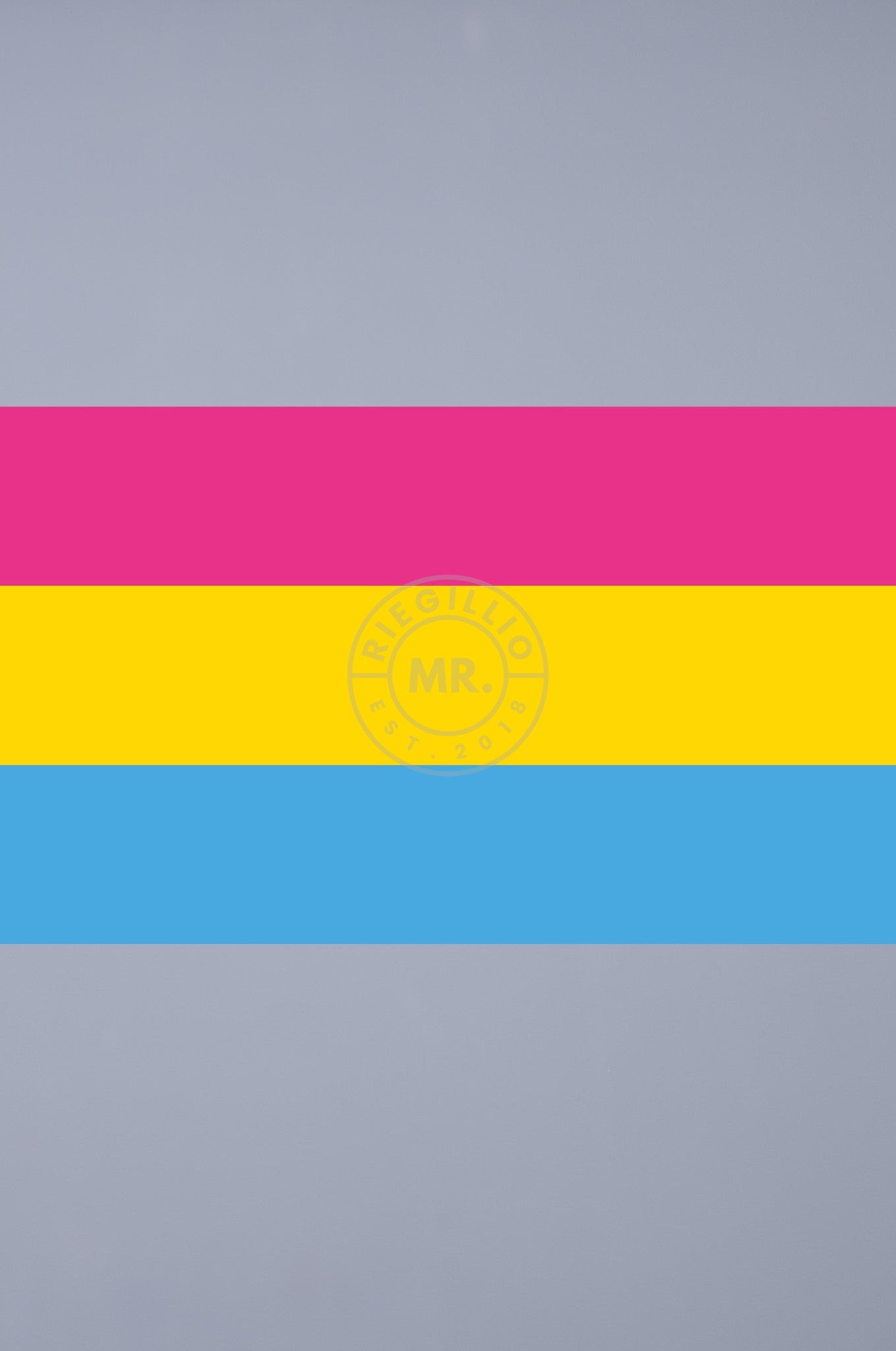 Pansexual Flag Additional Pansexual Flag – Pride Palace