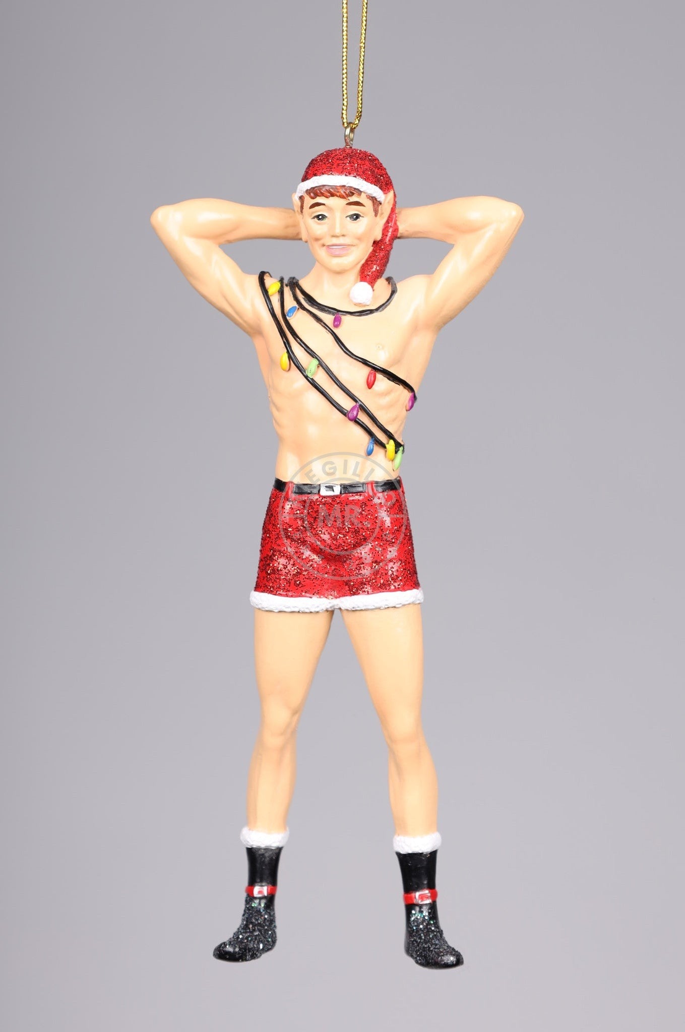 Inappropriate Elves - TWINKLE at MR. Riegillio