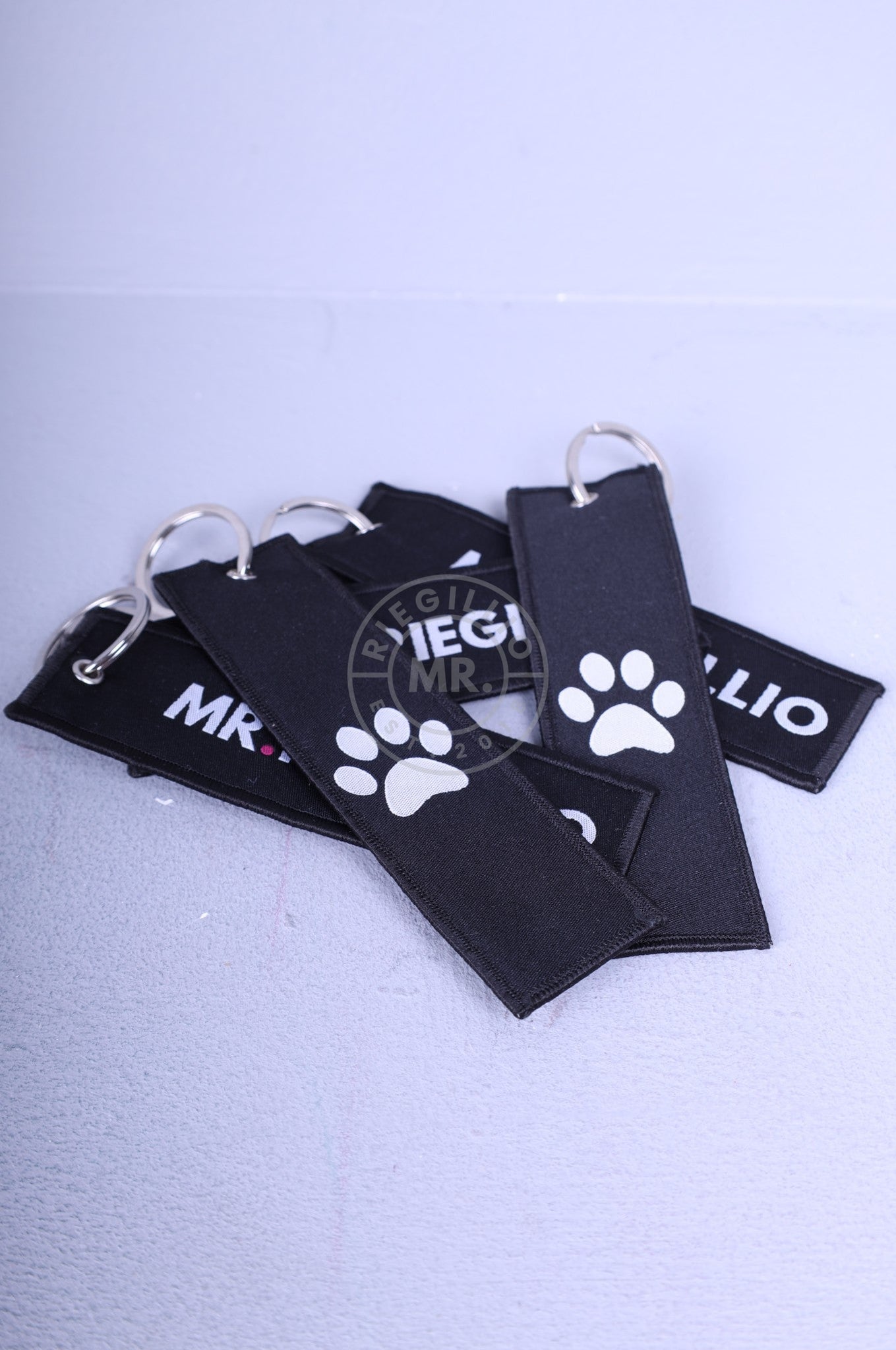 MR. Riegillio Puppy Keychain at MR. Riegillio