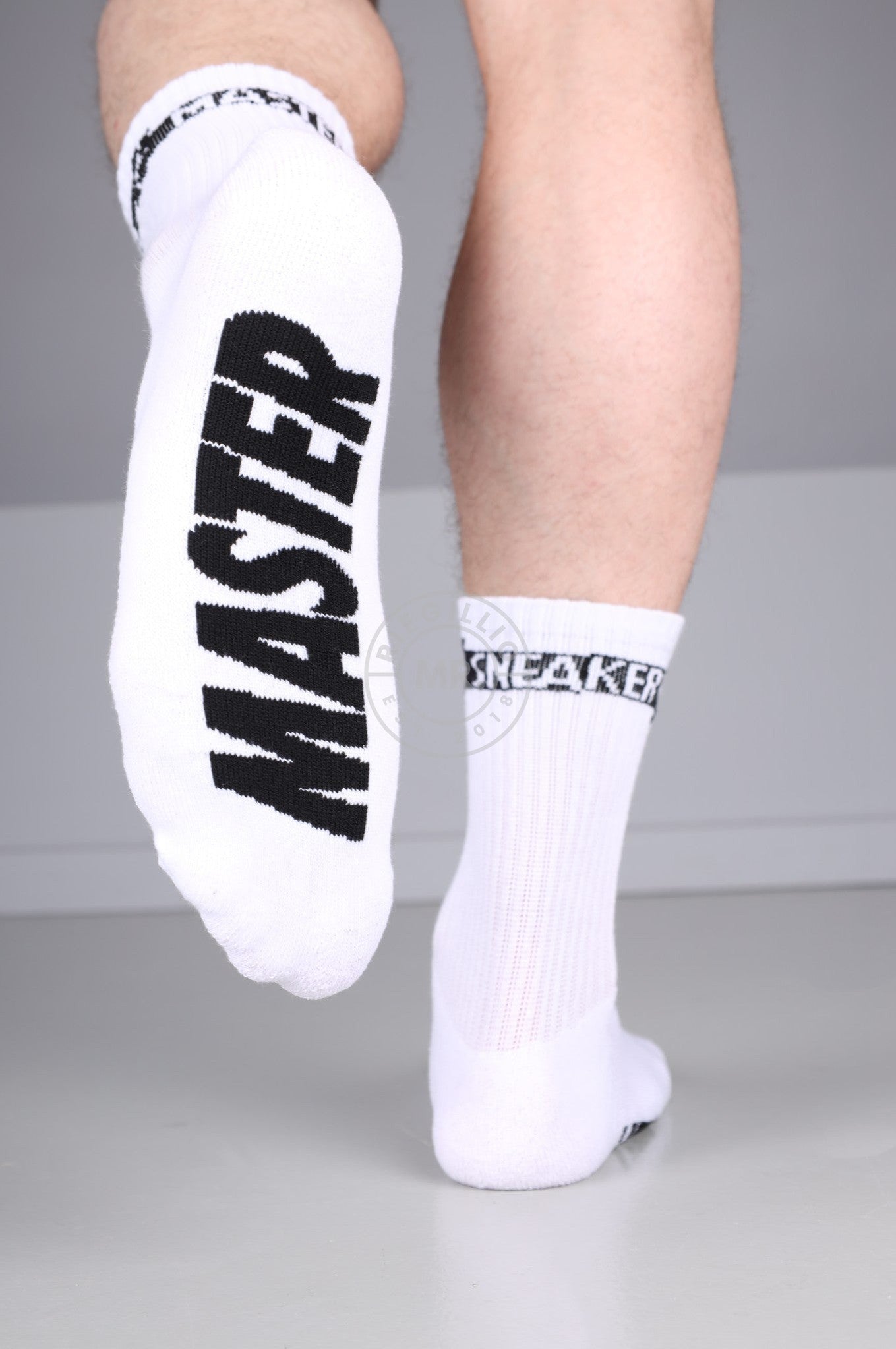 SNKRFTSH SNEAKER MASTER Socks at MR. Riegillio